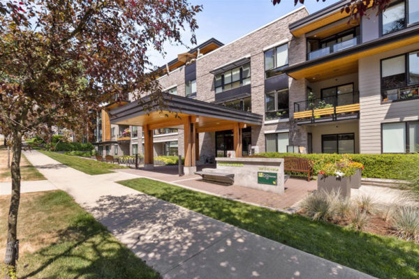 Gallery | Aspen Green